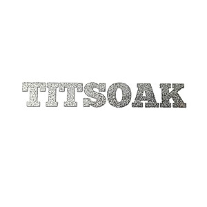 5" TITSOAK TEXT Silver Sparkle Glitter Vinyl Decal Perfect for auto, tablet, kindle, tumbler, mug and more Bite Me Vamp Vampire Fantasy