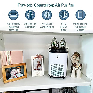 Purafide XP150 Veteran Owned, Tray-top, Countertop Air Purifier with 360-degree Air, 3 Stage Filtration for up to 460 Sq Ft. White, Pack of 1