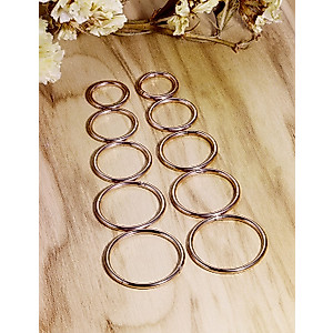 Xnsjeyy 16G Stainless Steel Nose Rings Hoops Hinged Clicker Septum Ring Lip Ring Cartilage Tragus Earrings Body Piercing Jewelry for Women Rose Gold