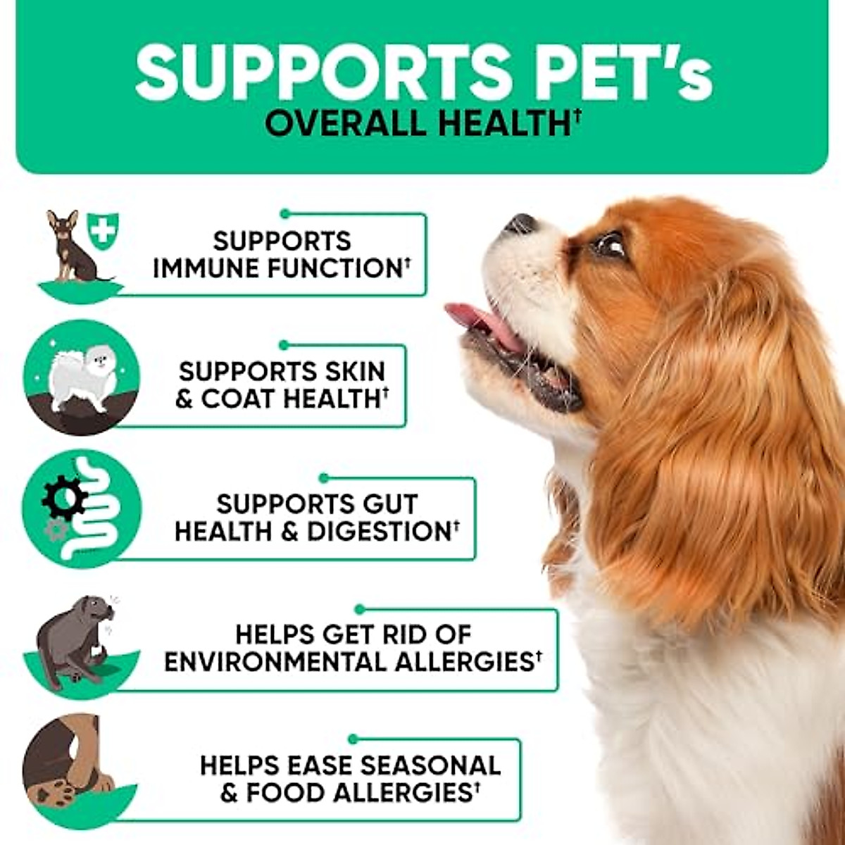 Natural Dog Allergy Chews with Omega, Probiotics, Apple Cider Vinegar - Dog Allergy Relief Supplement - Helps with Hot Spots, Itchy Skin, Seasonal and Food Dog Allergies - 180 Allergy Chews for Dogs