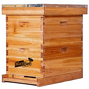 Beehive 8 Frame Bee Hives and Supplies Starter Kit, Bee Hive for Beginner, Honey Bee Hives Includes 1 Deep Bee Boxes, 1 Bee Hive Super with Beehive Frames and Foundation