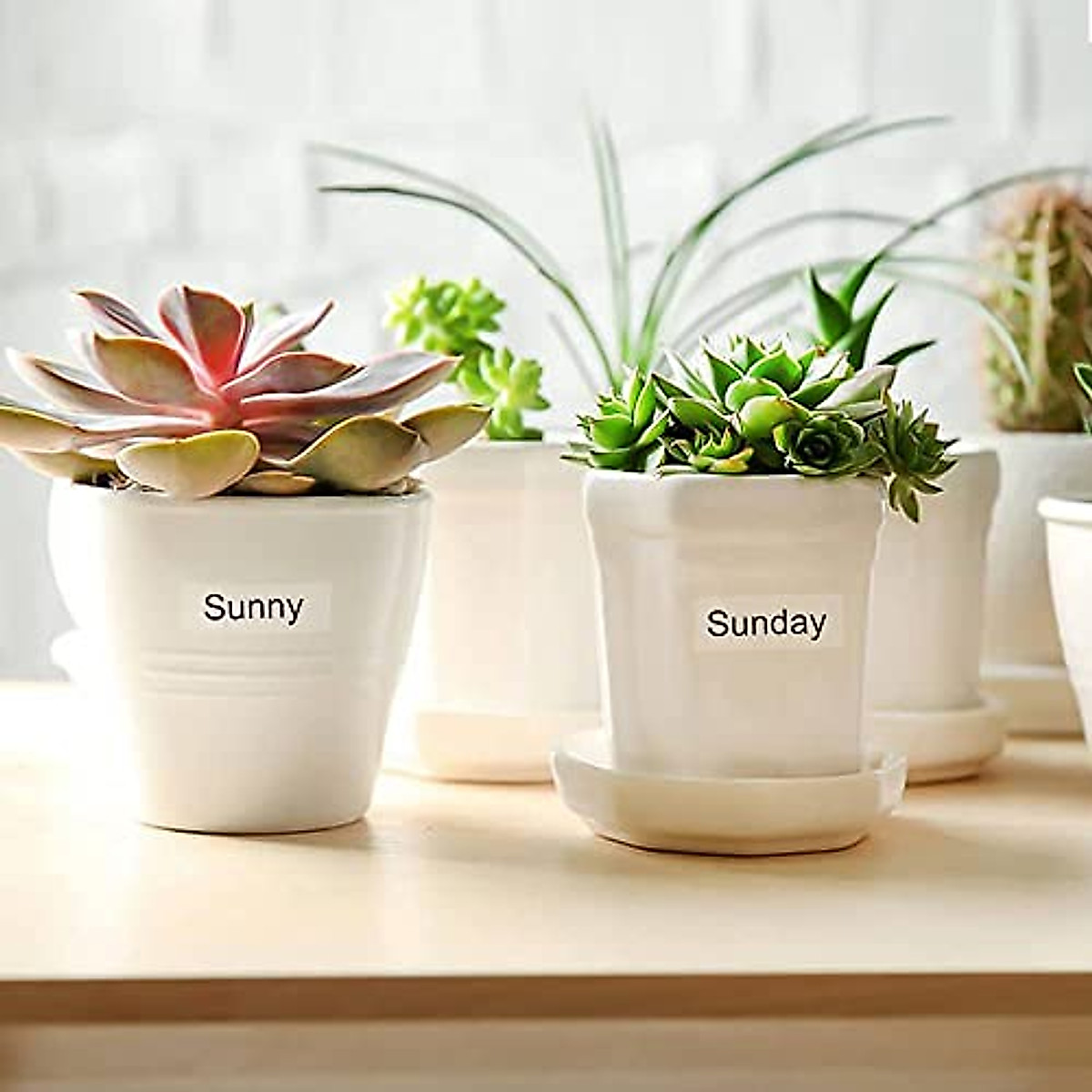 Absonic 3-Pack Tz 18mm 0.7" Laminated Clear Tape Compatible for Brother Tze-141 Tze141 Tz-141 Tz141 3/4" Black on Clear P Touch Tze 18mm Label Maker Tape for PT-D410 PT-D460 PT-D400 PT-D600 PT-D610BT