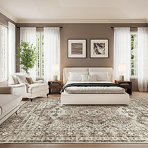 Rugland Area Rug - Stain Resistant Washable Rug, Anti Slip Backing Rugs for Living Room, Vintage Tribal Area Rugs (TPR07-Ivory, 9'x12')