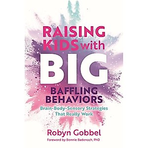 Raising Kids with Big, Baffling Behaviors