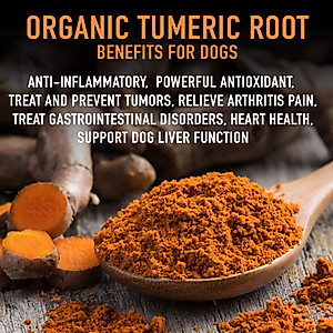 Earth Vet Super Immunity + for Dogs - Contains Organic Spirulina, Organic Chlorella, Organic Turmeric and Reishi Mushroom (60 Servings)