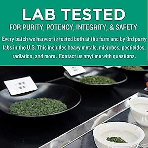 Jade Leaf Matcha Organic Green Tea Powder - Barista Edition - Ceremonial Grade For Cafe Quality Tea & Lattes - Authentic Japanese Origin (1 Pound Pouch)