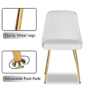 ANOUR Modern Dining Chairs,Set of 2, Velvet Kitchen Chair with Gold Metal Legs,Upholstered Side Chair for Dining Room,Living Room,Makeup Room(White,2 Pack)