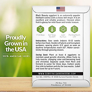 Survival Garden Seeds - Black Beauty Eggplant Seed for Planting - Packet with Instructions to Plant and Grow Purple Aubergine Plants in Your Home Vegetable Garden - Non-GMO Heirloom Variety