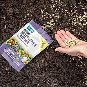 Back to the Roots Organic Wildflower Mix — Rainbow Blooms