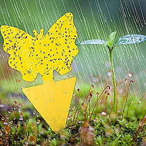 50 Pack Yellow Sticky Traps for Indoor Outdoor House Plant Flying Insect Catcher Like Fungus Gnats, Whiteflies, Aphids, Thrips, Other Flying Plant Insects