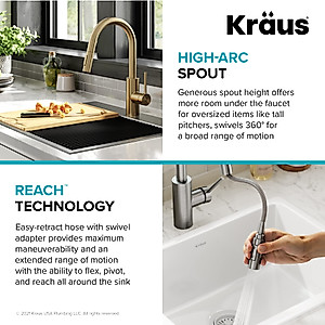 Mateo™ Single Lever Pull Down Kitchen Faucet Finish: Chrome