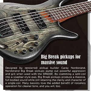 Ibanez SR Standard 5 String Electric Bass - Black Stained Burst