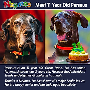 Nzymes® Antioxidant Dog Treats - for Dogs Joints, HIPS, Paralysis, Skin, Coat, Hair Loss, Aging, Digestion, Neurological, Seizures - Dog Treats for Large Dog - 120 Treats - Made in The USA