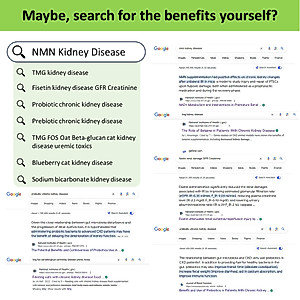 Eventually Young 12-in-1 Kidney Support for Dog & Cat with NMN & Fisetin - Super Phosphate Binder Kidney and Liver Supplement for Feline, Canine Healthy Aging & Longevity (30 Capsules)