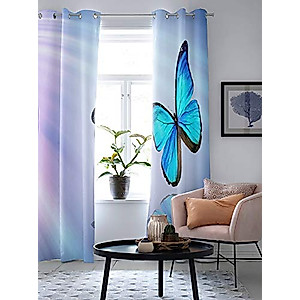 Big buy store Blackout Curtains Panels Blue Butterfly Thermal Insulated Grommet Window Curtains Insect Nature Room Darkening Curtain Drapes for Bedroom & Living Room 40inches W x 84inches L