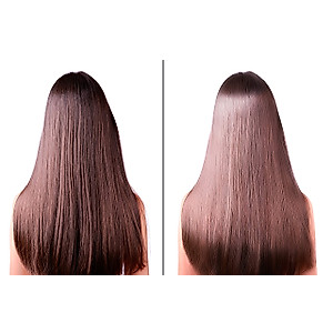 Difeel Rosemary Mint Strengthening Shampoo with Biotin 12 oz. - Made with Natural Rosemary Oil for Hair Growth