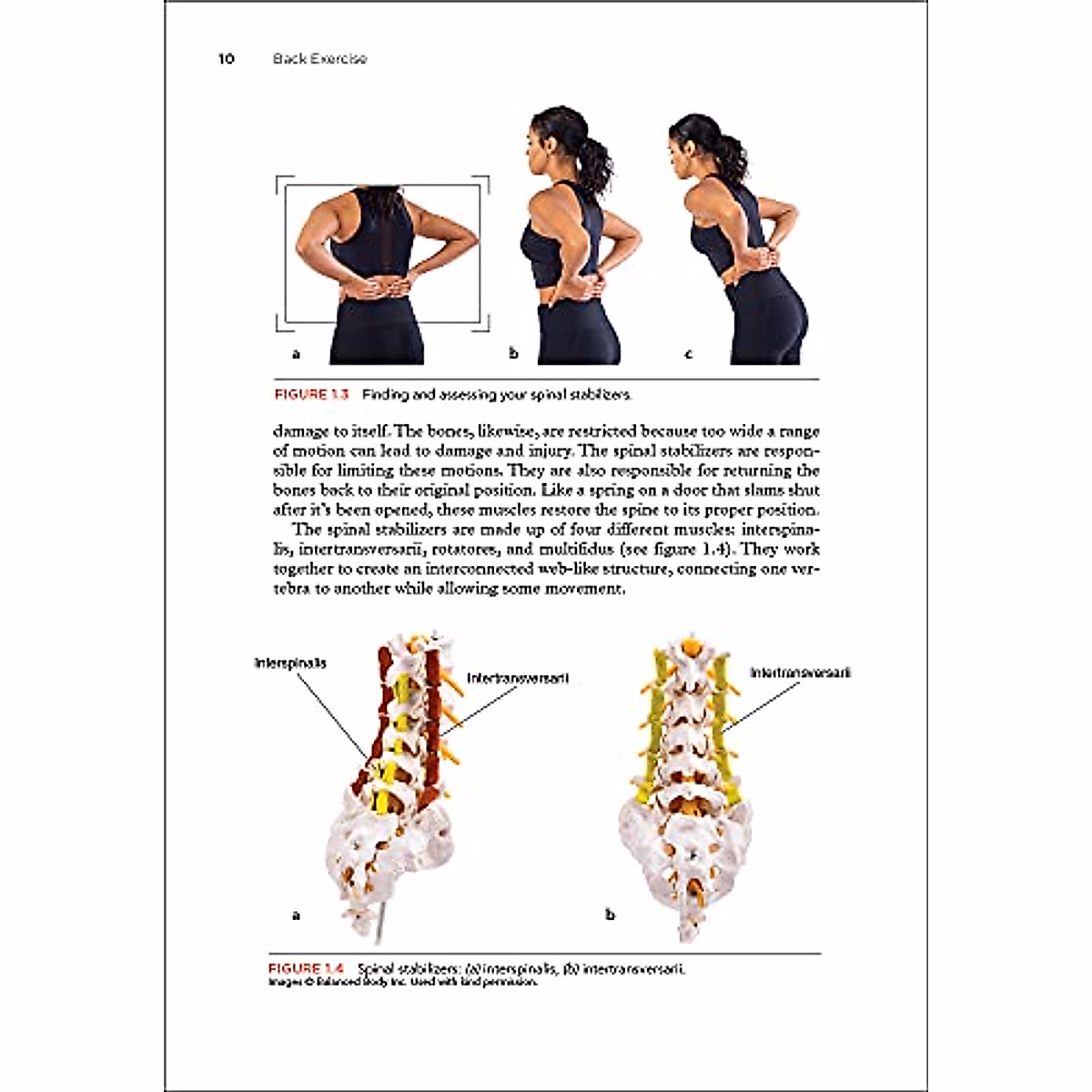 Back Exercise: Stabilize, Mobilize, and Reduce Pain
