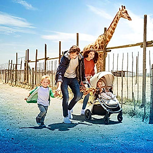 Maxi-Cosi Adorra Modular Stroller, Nomad Black