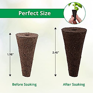 JustSmart 50 Pack Growth Sponges, Replacement Root Growth Sponges Seed Pods Compatible GS1 Series, Seedling Starter Sponges Kit for Hydroponic Growing System Indoor Garden