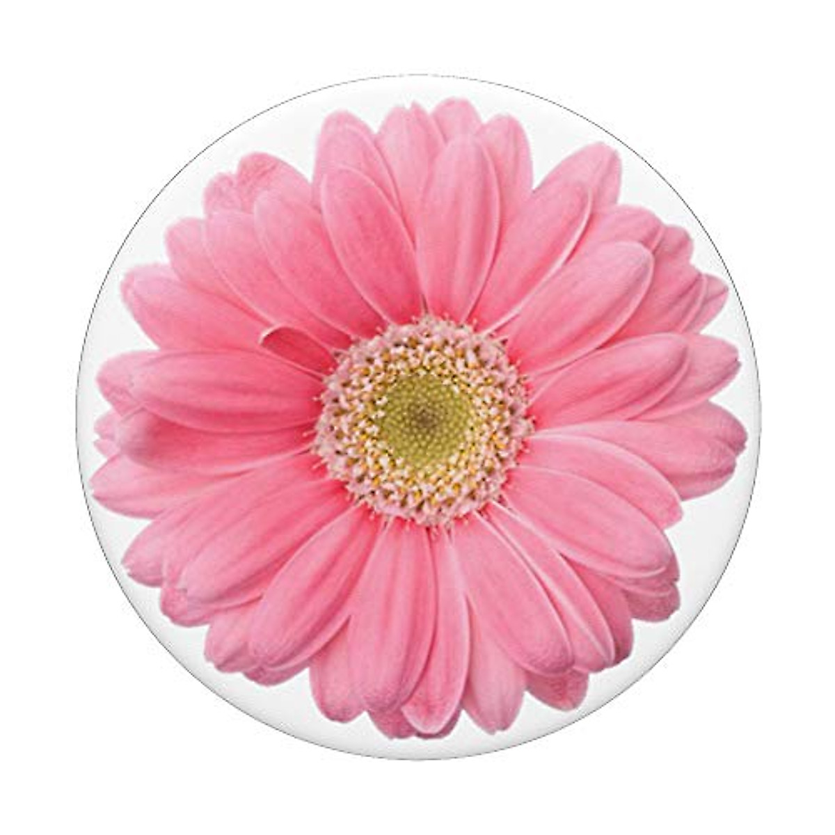 Pink Daisy Pop Floral Design Beautiful Flower PopSockets PopGrip: Swappable Grip for Phones & Tablets