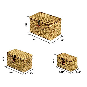 FEILANDUO Shelf Baskets with Lid Set of 3 Handwoven Seagrass Storage Box Wicker Basket Desktop Makeup Organizer Multipurpose Container (Original (S/M/L)