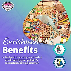 Super Bird Creations SB699 Activity Wall Bird Toy, Medium Bird Size, 12" x 14" x 3"