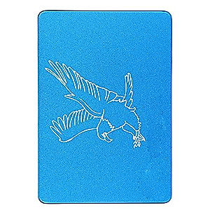 Garsentx Hsthe Sea SSD Automatic Recognition Intelligent Error Correction Blue Metal 2.5‑inch Hard Drive for Storing Data for OS X/Linux/Windows XP/Win/7/8/10 (8GB)