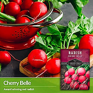 Survival Garden Seeds - Cherry Belle Radish Seed for Planting - Packet with Instructions to Plant and Grow Quick-Growing Delicious Red Radishes in Your Home Vegetable Garden - Non-GMO Heirloom Variety