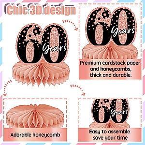 10 PCS Rose Gold 60th Birthday Decoration，60th Birthday Centerpieces for Tables， Happy 60th Honeycomb Table Topper for Women，60th Birthday Table Sign Decor
