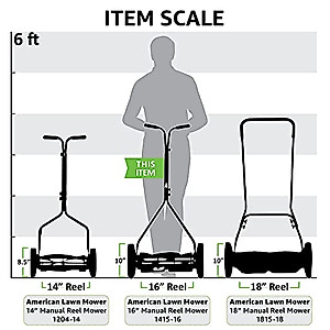 American Lawn Mower Company 1415-16 16-Inch 5-Blade Push Reel Lawn Mower, Gray