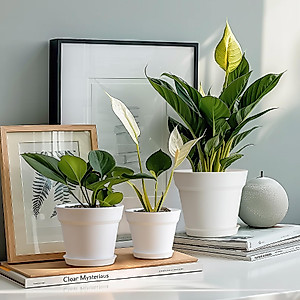 T4U 4 Inch Plant Pots 8-Pack - Small Plastic Planter with Drainage Hole and Saucer, Decorative Nursery Pot Bulk for African Violet, Snake Plant, Succulent and All House Plants Indoor (White)