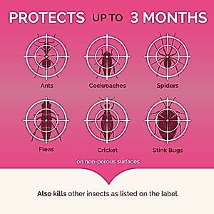 Hot Shot Ant, Roach & Spider Killer 2 Pack, 17.5 oz, Kills Roaches and Listed Ants On Contact, Indoor & Outdoor Insecticide Spray