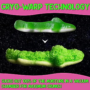 Freeze Dried Gummy Sharks - Premium Candy Shipped in a Box for Extra Protection - Space Age Snacks Space Sharks Freeze Dry Candy for All Ages (3 Ounce)