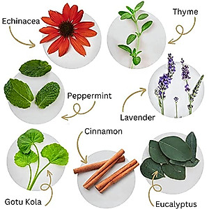 Dental Herb Company - Under The Gums Irrigant Concentrate (4 oz.) for Oral Irrigators