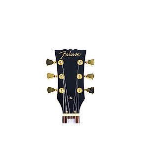 Acoustic Semi-Hollow-Body Electric Guitar, 6 Strings, Stainless Steel Frets, Full Size,Playing Jazz, Solo For Beginners Starters Intermediates and Professionals Right Handed Color Sky Bule
