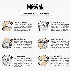 GOWO 3 Pack Miswak Sticks and Holders - Natural Teeth Whitening Kit - Natural Toothbrush - No Toothpaste Needed - Herbal Teeth Whitener and Breath Freshener - (Includes 3 Sticks and 3 Holders)