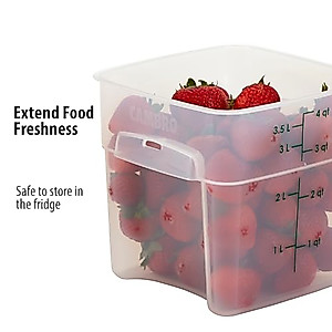 Cambro Food Storage Containers with Lids (BPA-Free) - 4 QT (Quart) Square Food Storage Container with Lid (2 Pack)