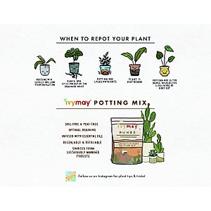 IvyMay Dunes Succulent Soil ― Organic Cactus Soil Potting Mix for Succulents, Ready to Use Potting Soil Indoor Plants with Perlite, Pumice, Earthworm Castings, Essential Oils ― 5 qt