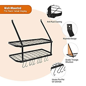ALAPUR 2 Tier Wall Mounted Pot Rack Storage Shelf with 10 Hooks,Kitchen Pots and Pans Hanging Rack Holder for Utensils Cookware Household,Black