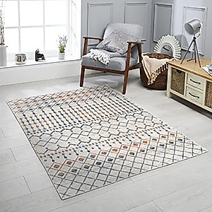Adiva Rugs Area Rug for Living Room, Bedroom, Bathroom, Kitchen, Persian Vintage Home Decor, Floor Decoration Carpet Mat, Medium Pile for Entryway, Underneath Furniture (Multicolor, 3' x 6')