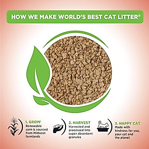 WORLD'S BEST CAT LITTER Multiple Cat Unscented, 8-Pounds - Natural Ingredients, Quick Clumping, Flushable, 99% Dust Free & Made in USA - Long-Lasting Odor Control & Easy Scooping