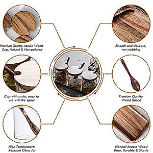 Freehawk Condiment Container Seasoning Box Set Salt Sugar Spice Pepper Condiment Container Kitchen Cruet Seasoning Pots with Bamboo Wooden Spoon Lid and Base,Set of 3(250ml Round Shape)