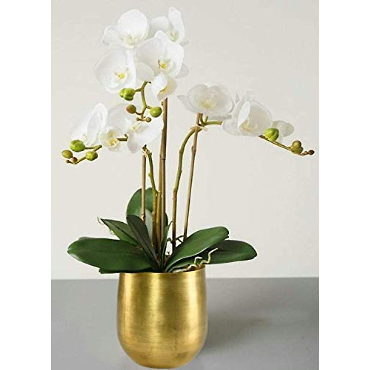 Serene Spaces Living Raw Brass Vase, Brass Decorative Accents Use as Brass Planter for Plant, Gold Flower Vase for Wedding or Event Centerpiece, Metallic Pot for Home, Measures 6" Tall & 5.5" Diameter