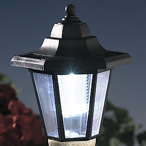 Bits and Pieces-Solar Light Fawn Pug-Solar Powered Garden Lantern - Resin Dog Sculpture with LED Light