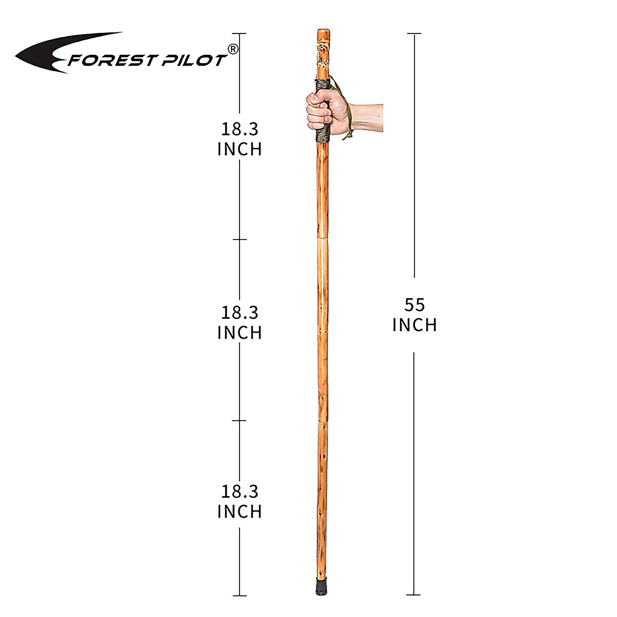 FOREST PILOT 3 Piece Detachable Fir Wood Walking Stick Eagle Carving with a Compass(Nature Color, 55 Inches, 1 Piece)…