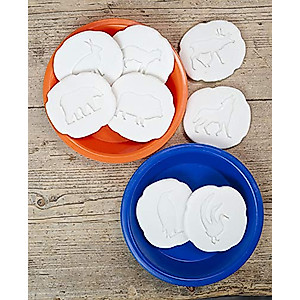 Yellow Door Let's Investigate Polar Footprints, Set of 8