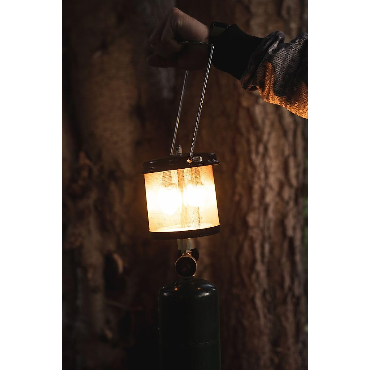 Stansport Wire Mesh Lantern Globe For #170 (167-100)