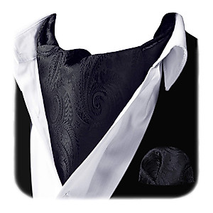 HISDERN Cravat Ties for Men with Pocket Square Casual Paisley Ascot Self Tie Scarf Handkerchief Set for Business Prom