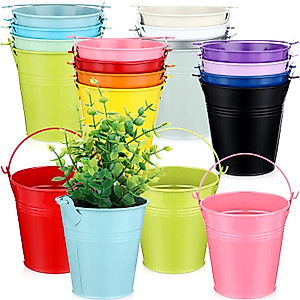 16 Pack Small Metal Buckets with Handle Colored Galvanized Bucket Decorative Mini Sand Buckets Craft Bucket Galvanized Party Decorations for Kids Crafts Table Centerpieces Party Ornaments, 16 Colors