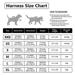 Mercano Soft Mesh Dog Harness and Leash Set, No-Chock Step-in Reflective Breathable Lightweight Easy Walk Escape Proof Vest Harnesses with Safety Buckle for Small Medium Dogs, Cats (Pink, S)